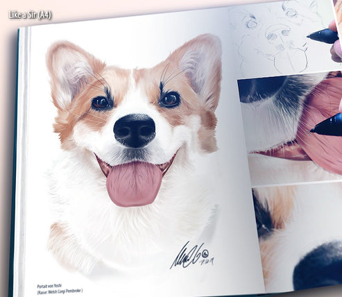 Artbooks – Drawing like a Sir