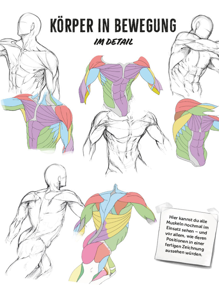 Draw like a Mangaka – Drawing like a Sir